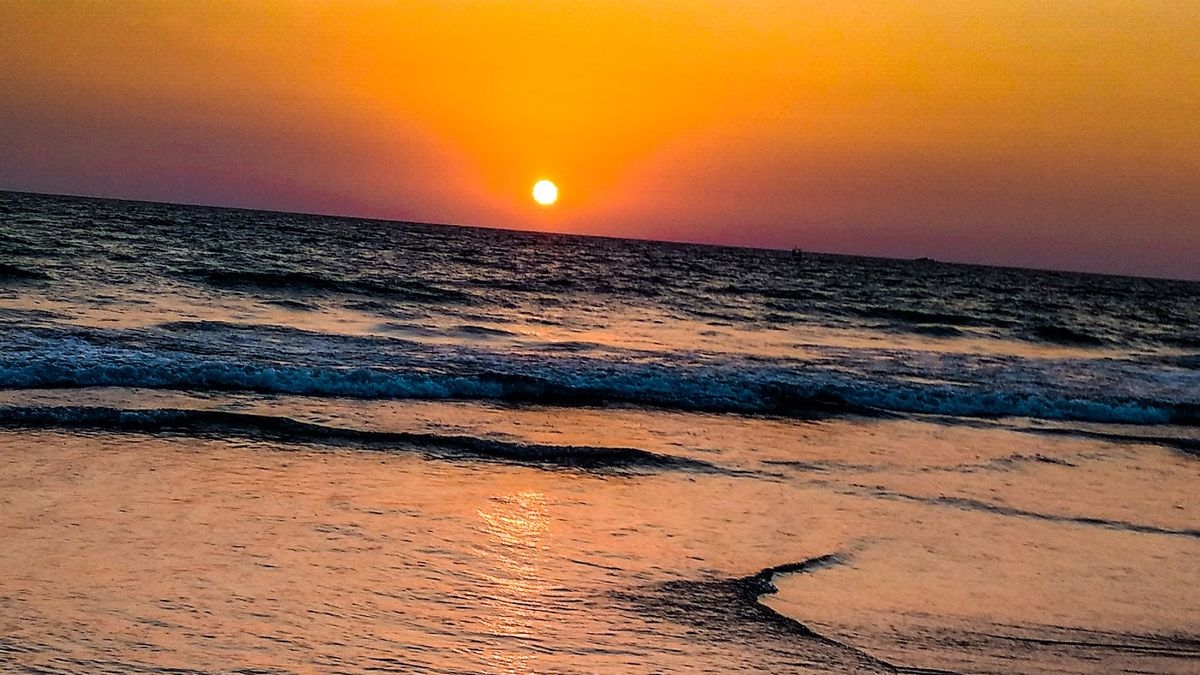 Dive into the Pristine Waters of Malvan, Maharashtra for Manta Ray ...