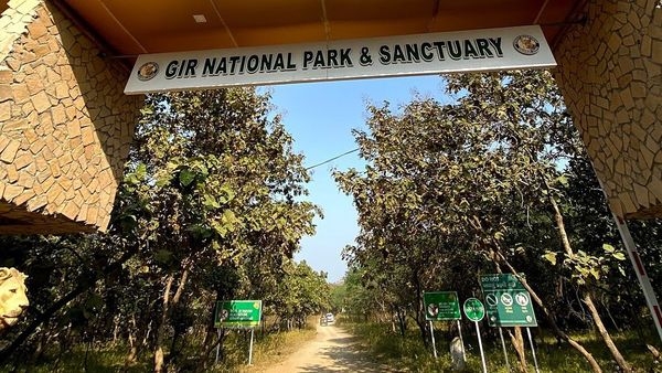 Gir National Park: A Haven for Wildlife Enthusiasts - Nativeplanet