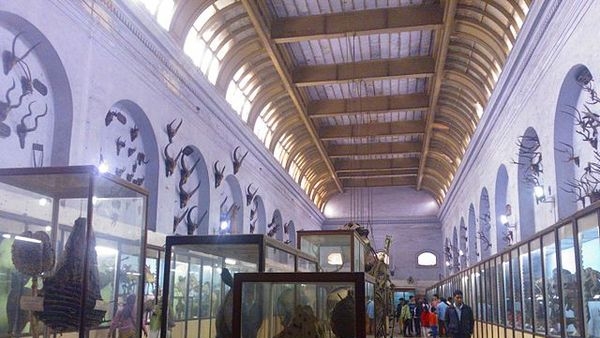 Indian Museum of Natural History - Nativeplanet