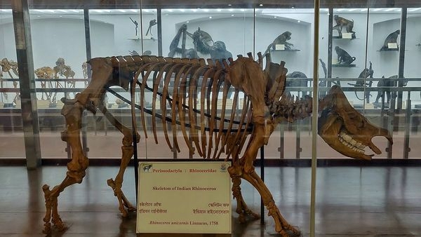 Indian Museum of Natural History - Nativeplanet