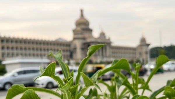 Vidhana Soudha: The Majestic Seat of the Karnataka State Legislature ...