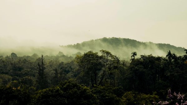 Agumbe: Exploring Cherrapunji of the South in Karnataka - Nativeplanet