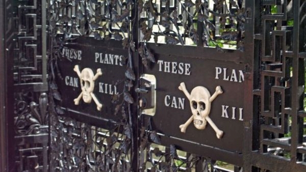 England's Poison Garden at Alnwick Garden: Unveiling Nature's Dark ...