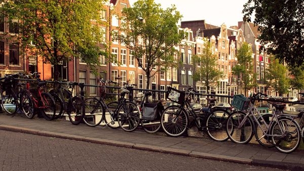 Cycling Adventure through Netherlands' Scenic Routes and City Streets ...