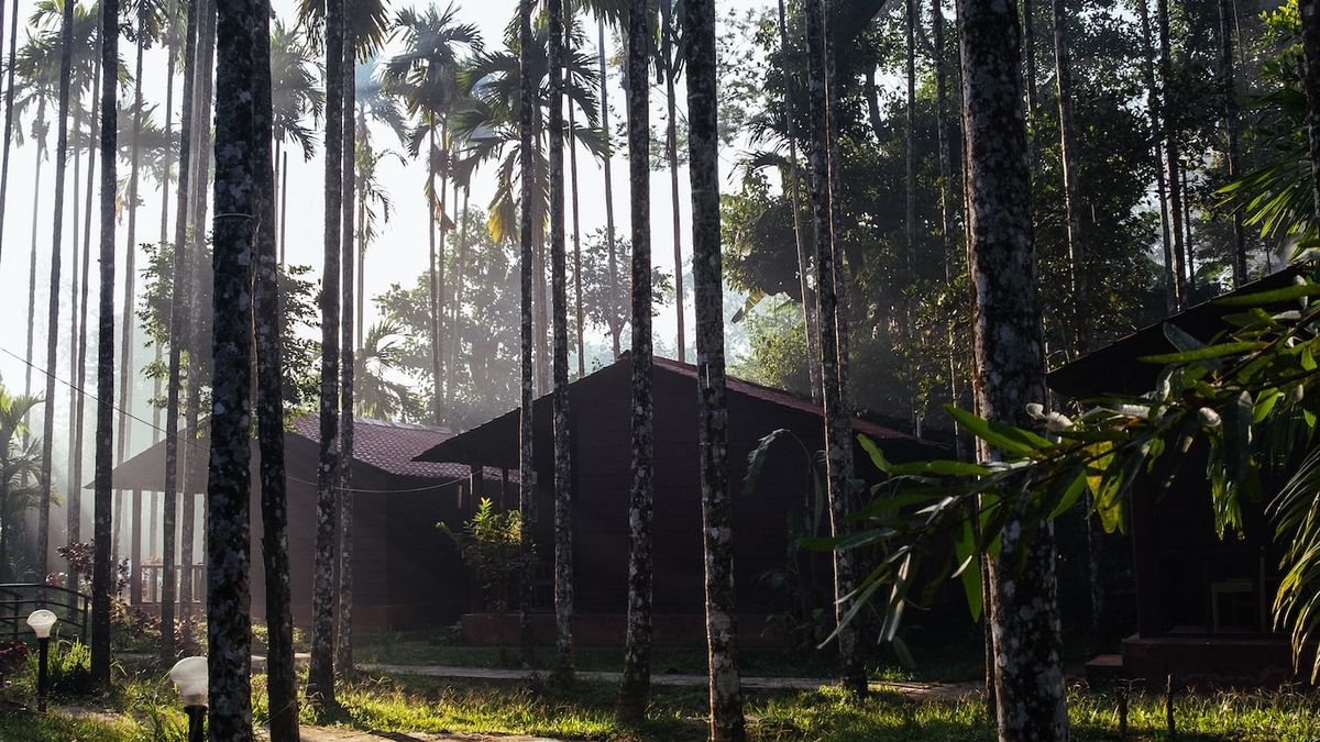 Exploring Coorg in 3 Days: A Comprehensive Travel Guide - Nativeplanet