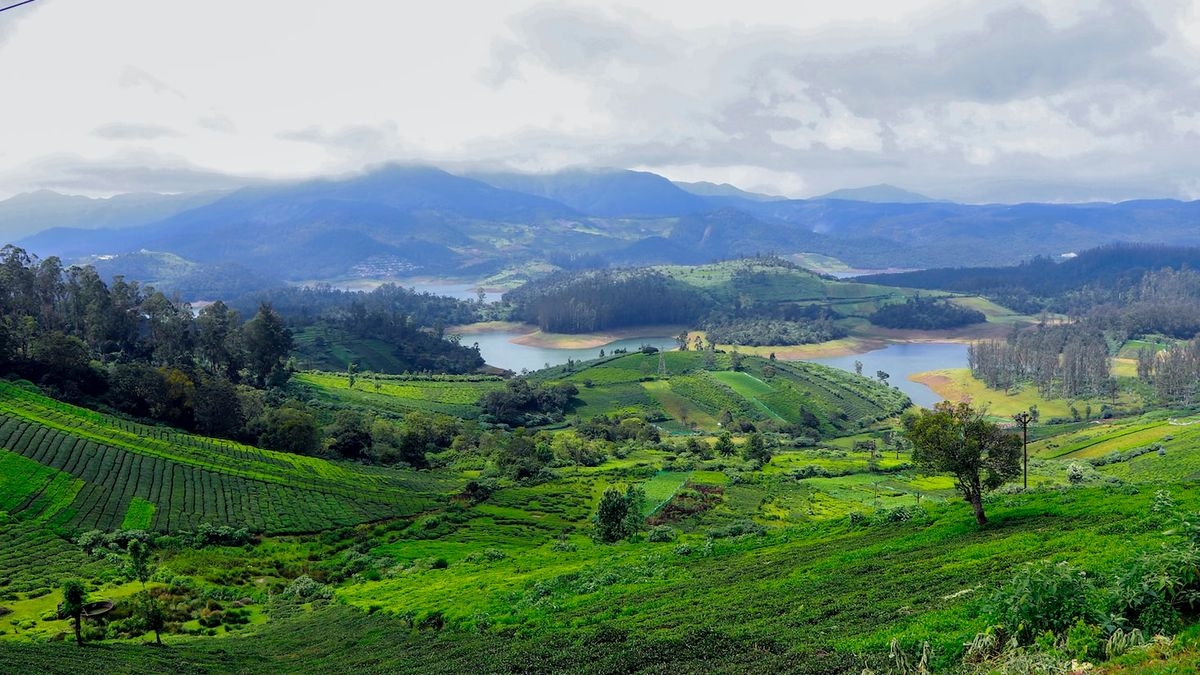 Romance in the Nilgiris: A Couple's Guide to Ooty's Most Romantic Spots ...