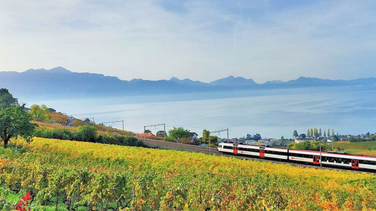 The UNESCO-listed: Journey through Switzerland's iconic vineyards in ...