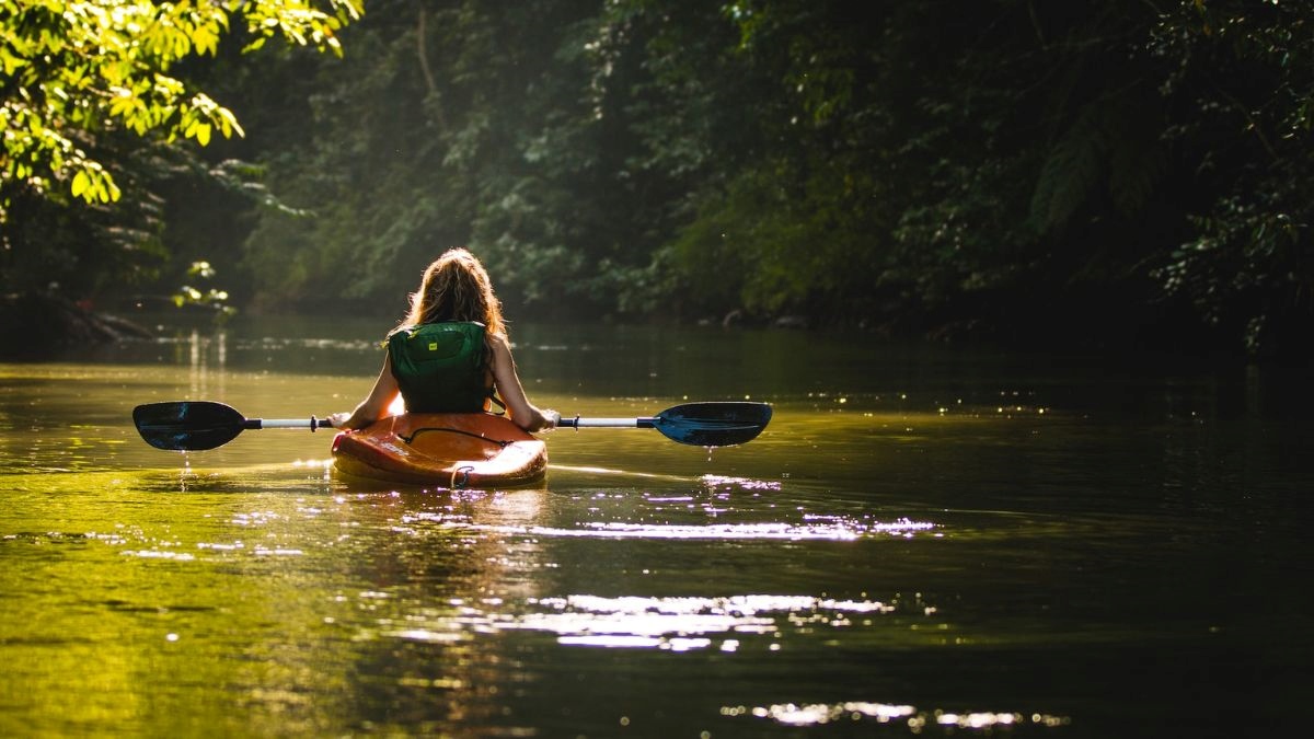 Explore the Mangroves of Karnataka Through Kayaking Adventures in Udupi ...