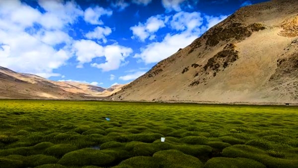 Ladakh's Puga Valley: Powering Up with Natural Springs, but What About Tourism? - Nativeplanet