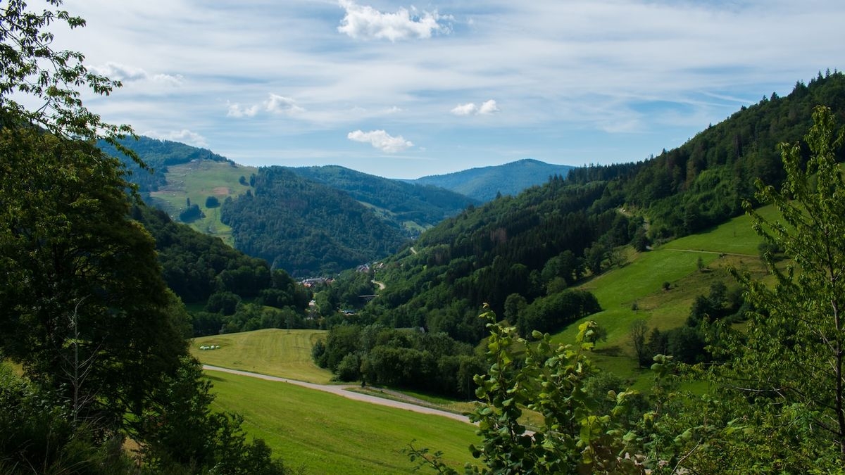 Discover Germanys Best Kept Secret: The Black Forest! - Nativeplanet