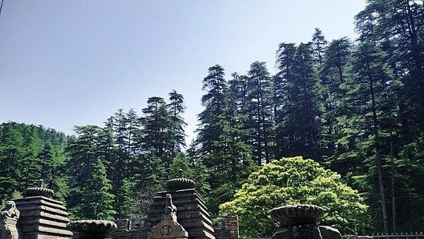 Offbeat travel destinations in Uttarakhand: Spotlight on Jageshwar Dham ...