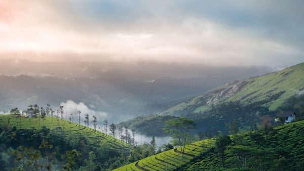 Unwinding in Vagamon: The Perfect Winter Spot in Kerala - Nativeplanet