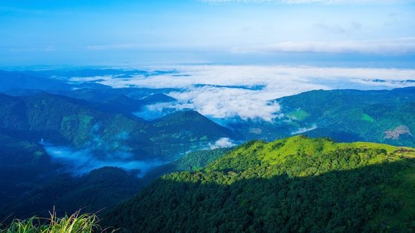 Unwinding in Vagamon: The Perfect Winter Spot in Kerala - Nativeplanet