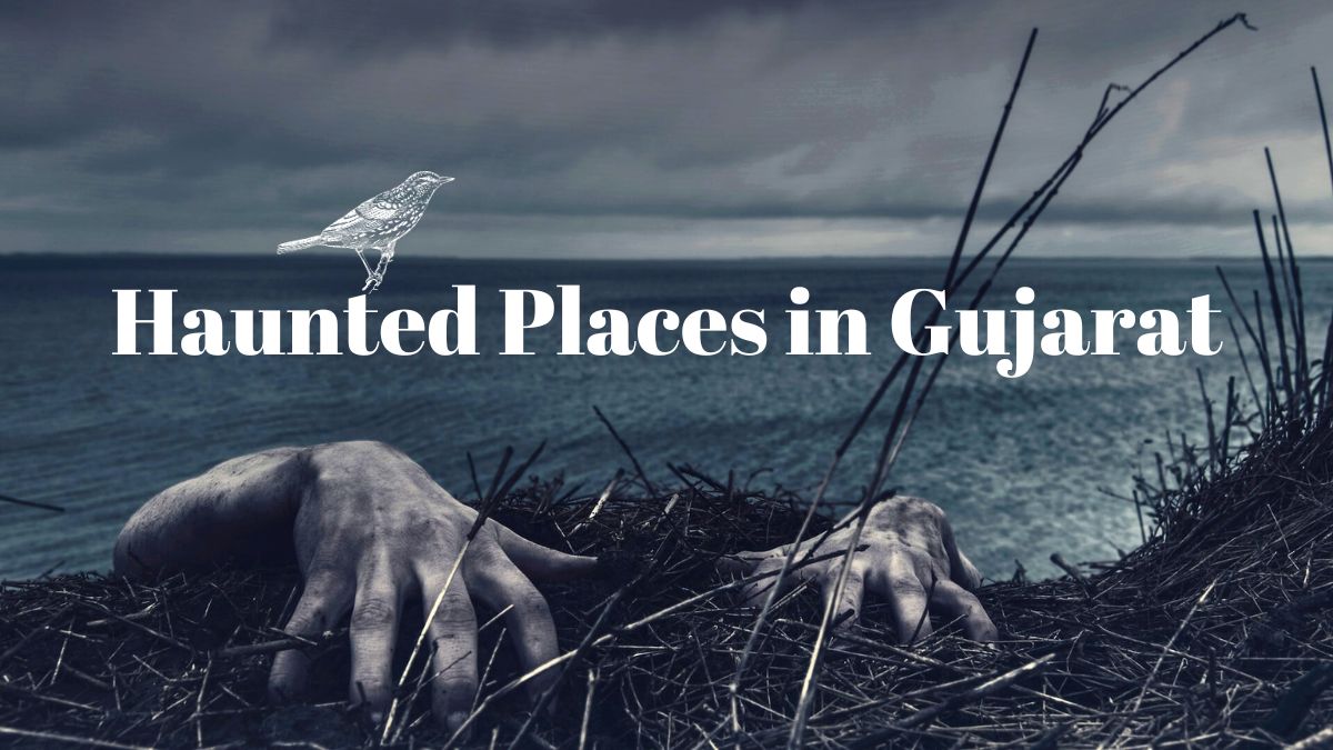 From Ahmedabad to Rajkot: Explore All the Haunted Places in Gujarat ...