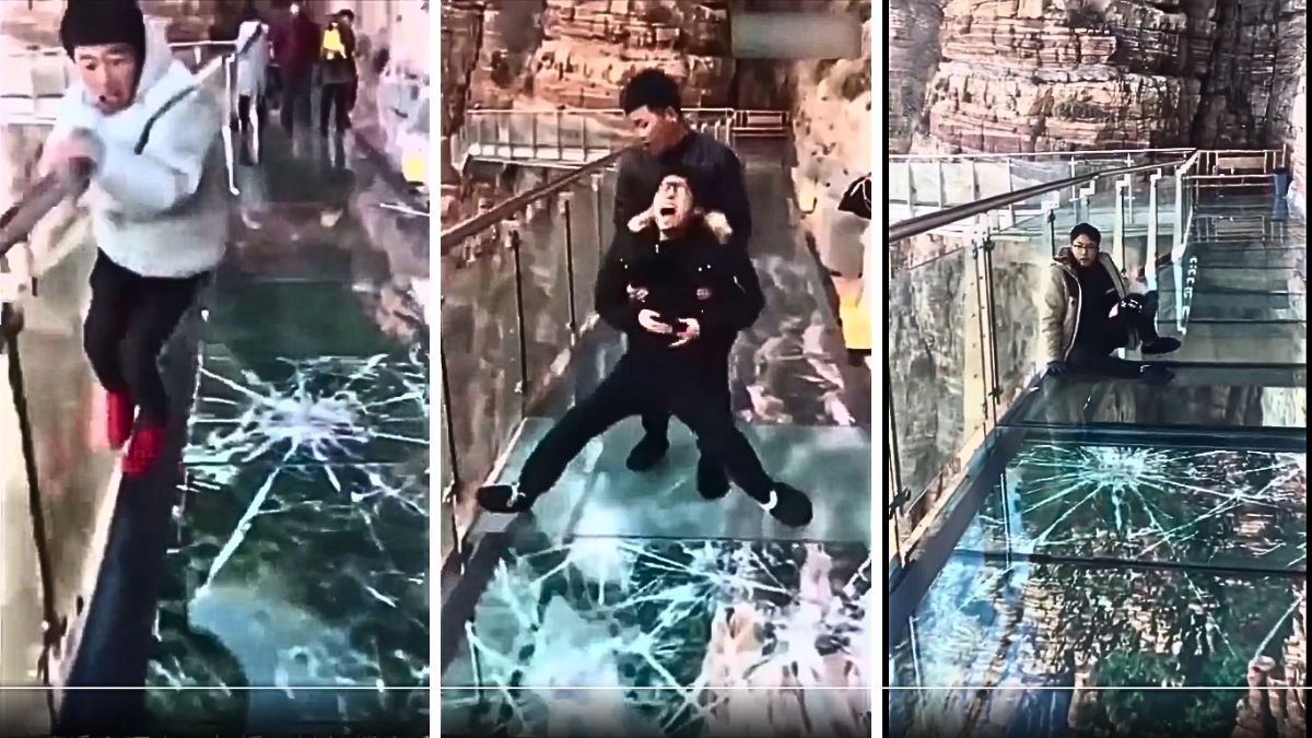 Heart-Stopping Fun or Terrifying Prank? The Viral Glass Bridge Video ...
