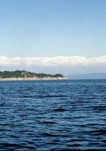 Dada Siba Temple - Pragpur | Dada Siba Temple Photos, Sightseeing ...