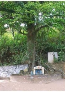 Wayanad Tourism, Travel Guide & Tourist Places in Wayanad-NativePlanet