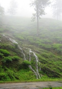 Punalur Tourism, Travel Guide & Tourist Places in Punalur-NativePlanet