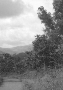 Idukki Tourism, Travel Guide & Tourist Places in Idukki-NativePlanet