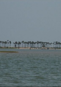 Pulicat Tourism, Travel Guide & Tourist Places in Pulicat-NativePlanet