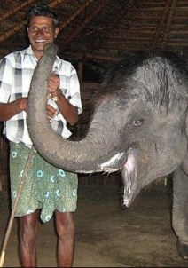 Moyar River - Mudumalai | Moyar River Photos, Sightseeing -NativePlanet