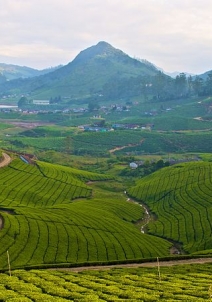 Devadanapatti Kamakshi Amman Temple - Theni | Devadanapatti Kamakshi ...