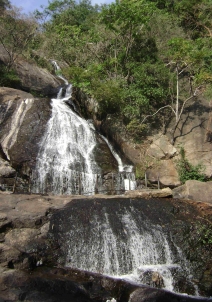 Topslip - Pollachi | Topslip Photos, Sightseeing -NativePlanet