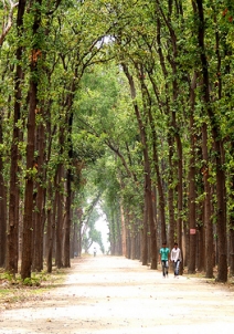 Ramgarh Tal - Gorakhpur | Ramgarh Tal Photos, Sightseeing -NativePlanet