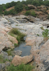 Muthathi Tourism, Travel Guide & Tourist Places in Muthathi-NativePlanet