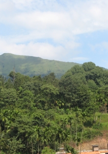 Horanadu Tourism, Travel Guide & Tourist Places in Horanadu-NativePlanet