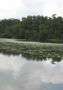 Places to Visit in Yellapur: Tourist Places in Yellapur, Yellapur ...