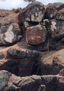 Places to Visit in Bordi: Tourist Places in Bordi, Bordi Tourism, Best ...