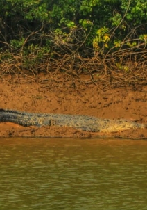 Remuna - Chandipur | Remuna Photos, Sightseeing -NativePlanet