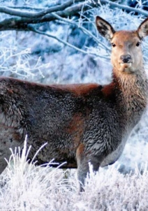 Places to Visit in Dharchula: Tourist Places in Dharchula, Dharchula ...