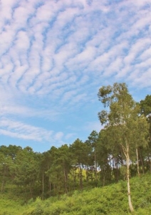 Waithou Lake - Thoubal | Waithou Lake Photos, Sightseeing -NativePlanet