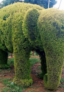 Pallel - Thoubal | Pallel Photos, Sightseeing -NativePlanet