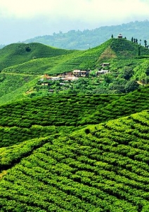 Places to Visit in Senapati: Tourist Places in Senapati, Senapati ...