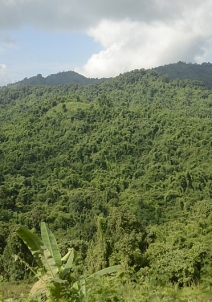 Places to Visit in Wokha: Tourist Places in Wokha, Wokha Tourism, Best ...