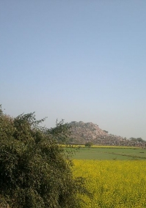 Haryana Tourism, Travel Guide & Tourist Places in Haryana-NativePlanet