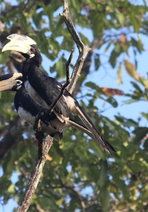 Places to Visit in Dandeli: Tourist Places in Dandeli, Dandeli Tourism ...