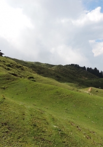 Dak Pathar - Kalsi | Dak Pathar Photos, Sightseeing -NativePlanet