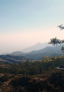 Toad Rock - Mount Abu | Toad Rock Photos, Sightseeing -NativePlanet