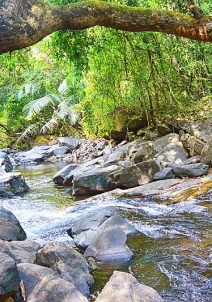 Places to Visit in Yellapur: Tourist Places in Yellapur, Yellapur ...