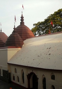 Panbari Reserve Forest - Kaziranga | Panbari Reserve Forest Photos ...