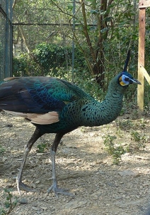 Places to Visit in Imphal: Tourist Places in Imphal, Imphal Tourism ...