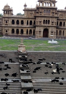 Places to Visit in Morbi: Tourist Places in Morbi, Morbi Tourism, Best ...