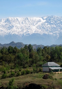 Dada Siba Temple - Pragpur | Dada Siba Temple Photos, Sightseeing ...
