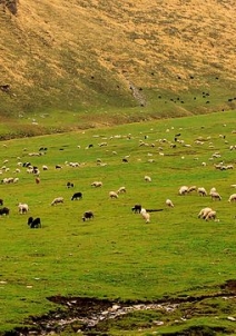 Places to Visit in Rohru: Tourist Places in Rohru, Rohru Tourism, Best ...