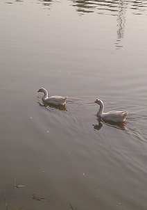 Places to Visit in Amravati: Tourist Places in Amravati, Amravati ...