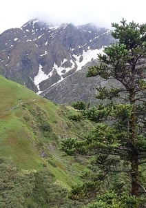 Places to Visit in Kotkhai: Tourist Places in Kotkhai, Kotkhai Tourism ...